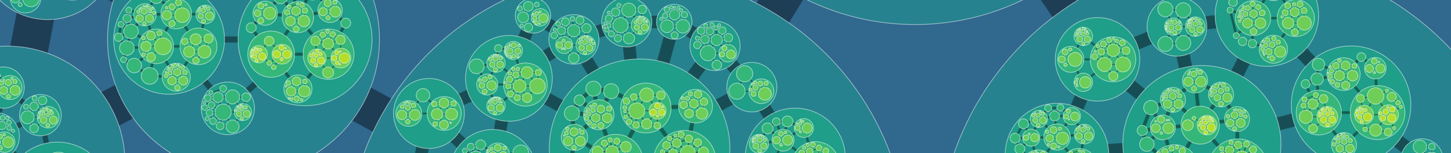 Complex Infrastructure Systems